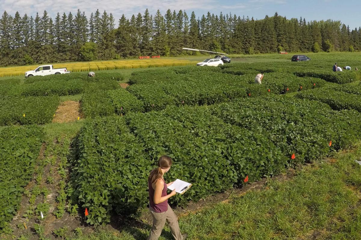 Manitoba Agriculture and Food Knowledge Exchange | Faculty of ...