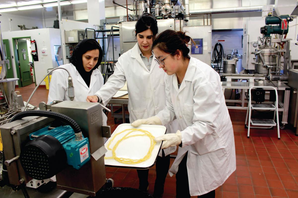 Research | Faculty of Agricultural and Food Sciences | University of ...