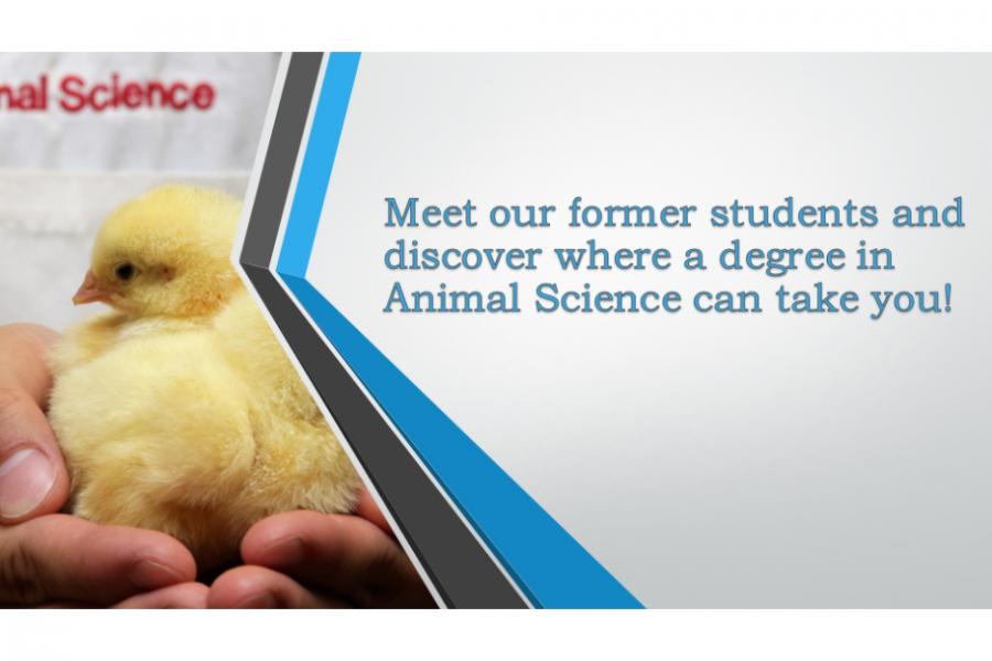 Animal Science | Faculty of Agricultural and Food Sciences | University ...