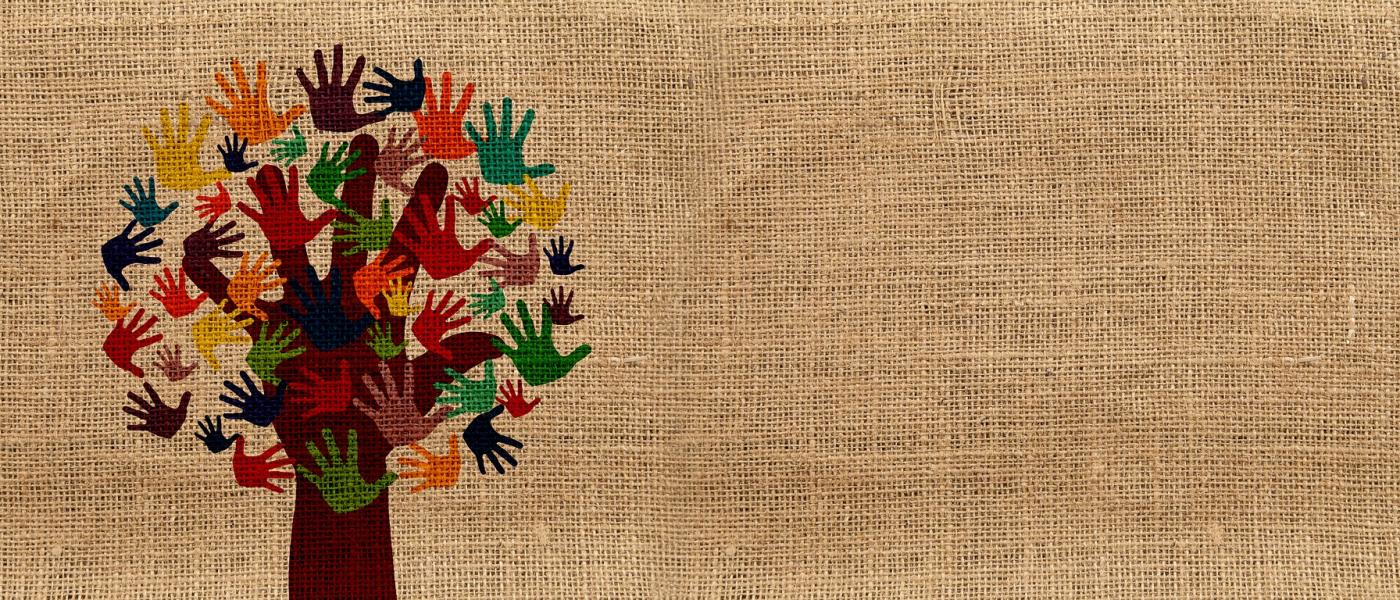 Equity, diversity and inclusion | The Centre for the Advancement of ...