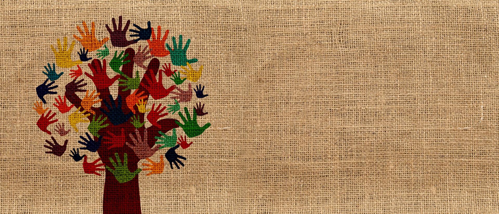 Equity, diversity and inclusion | The Centre for the Advancement of ...