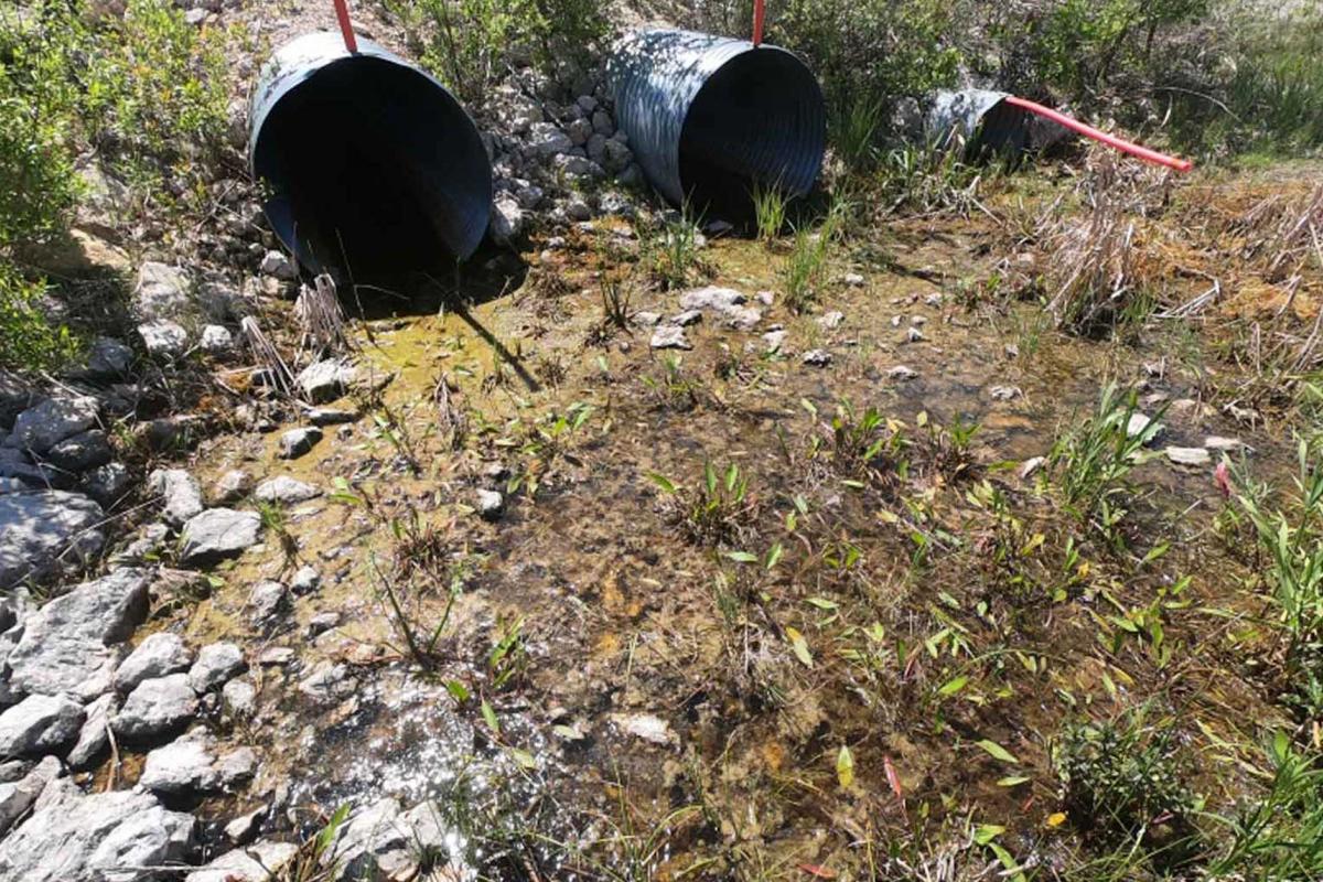 Waterhen: Manitoba Great Lakes Project June 5-7, 2019 | Centre for ...