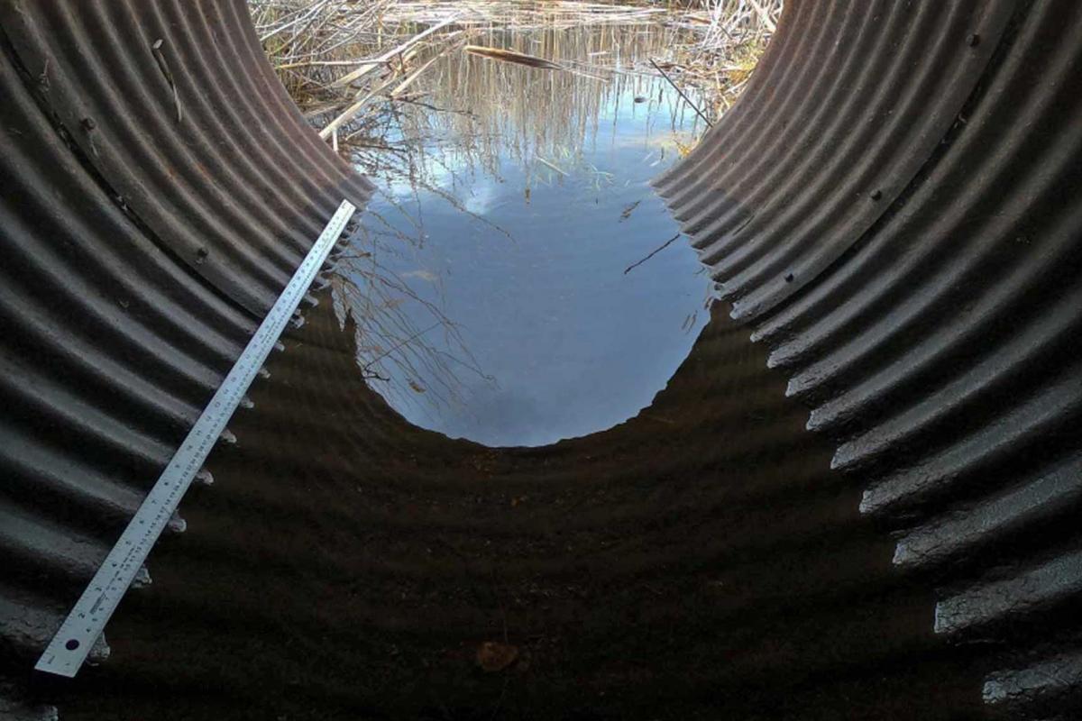 Waterhen: Manitoba Great Lakes Project June 5-7, 2019 | Centre for ...