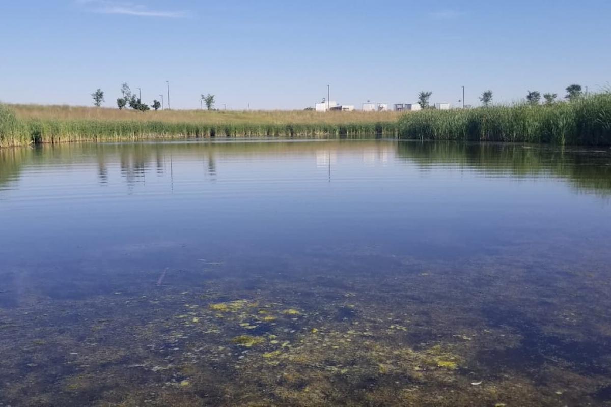 A day in the field: sampling the SmartPark retention ponds | Centre for ...