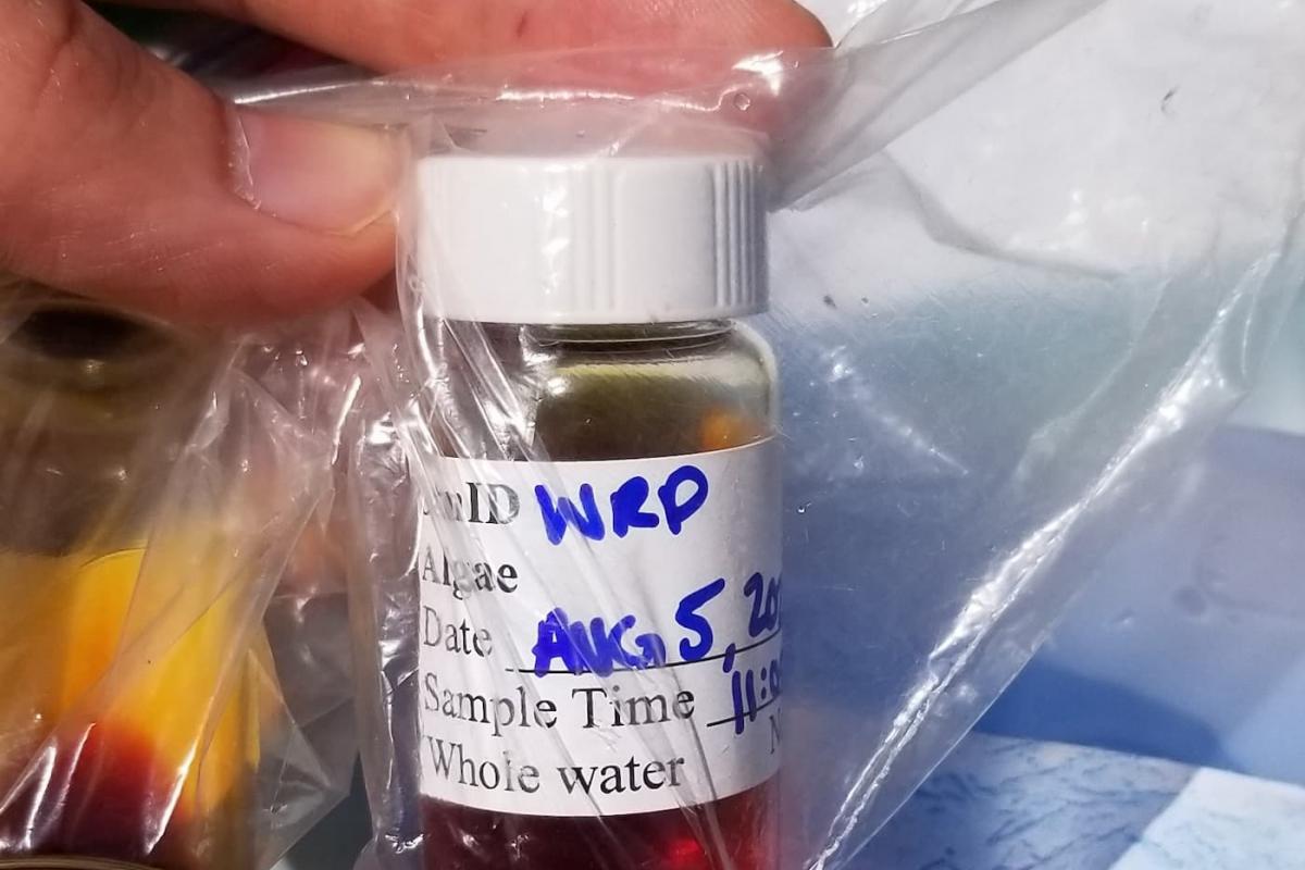 A day in the field: sampling the SmartPark retention ponds | Centre for ...