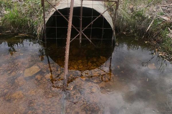 Waterhen: Manitoba Great Lakes Project June 5-7, 2019 | Centre for ...