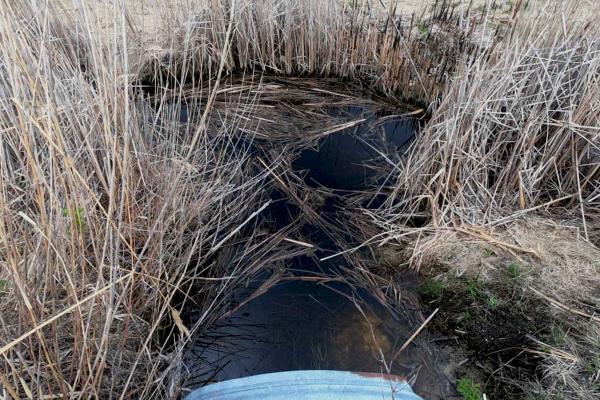 Waterhen: Manitoba Great Lakes Project June 5-7, 2019 | Centre for ...