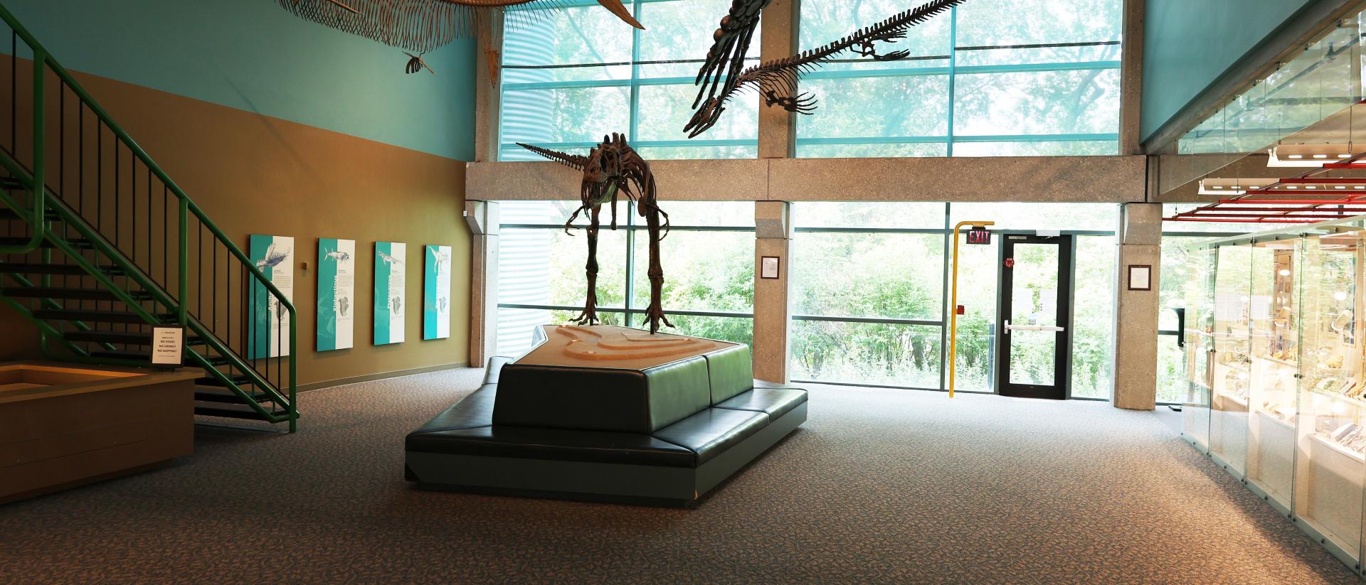 The Ed Leith Cretaceous Menagerie | Clayton H. Riddell Faculty of ...