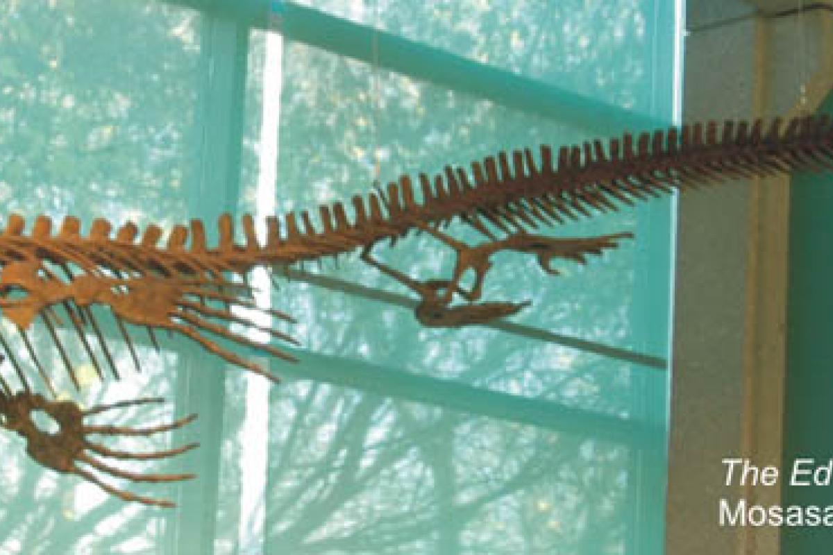 The Ed Leith Cretaceous Menagerie | Clayton H. Riddell Faculty of ...