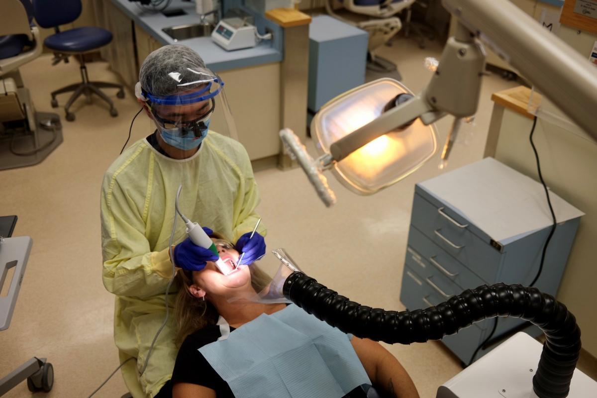 International Dentist Degree Program (IDDP) | Explore UM | University ...