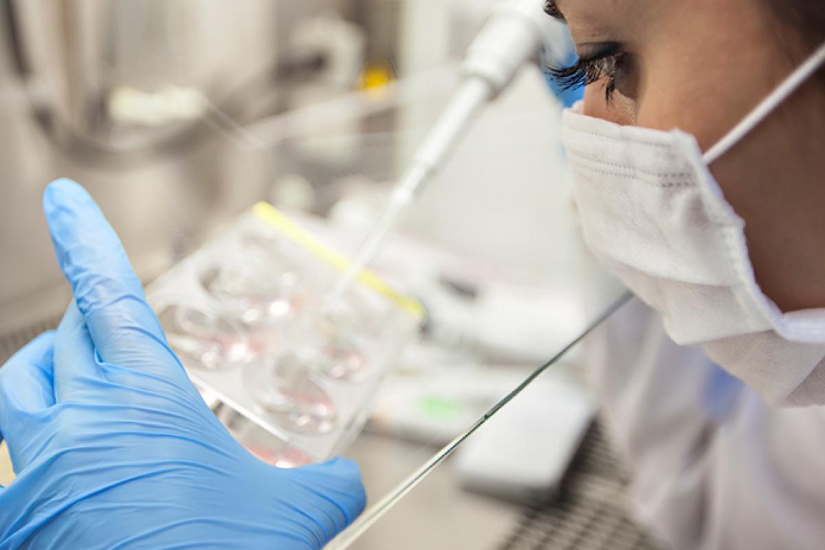 Biochemistry (BSc) | Explore UM | University of Manitoba