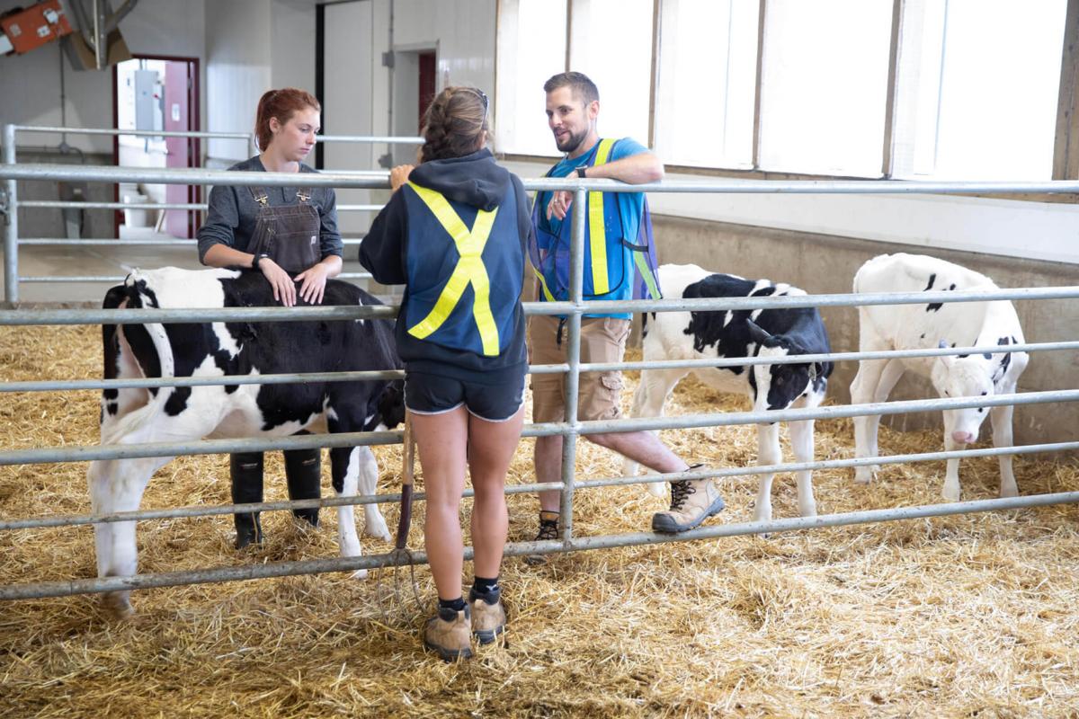 Pre-Veterinary studies | Explore UM | University of Manitoba