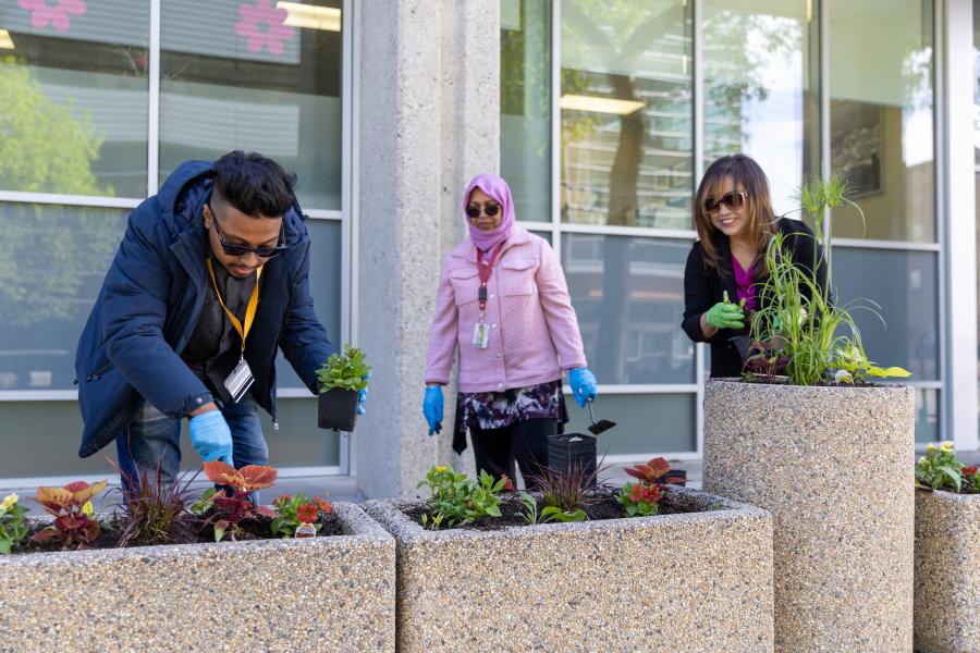 Campus Beautification Day | Facilities | University of Manitoba