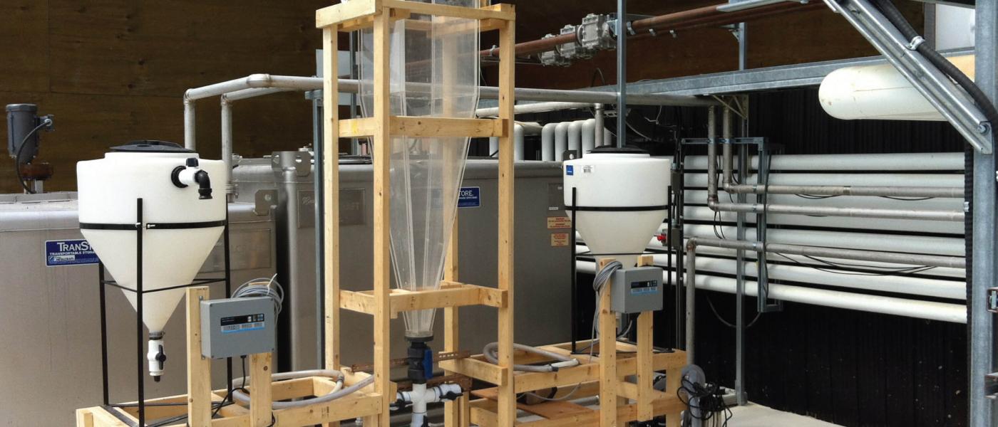 Biosystems Engineering (MEng) | Faculty of Graduate and Postdoctoral ...