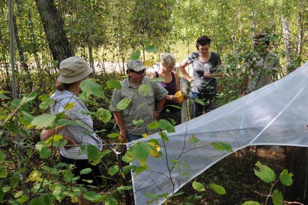 Entomology (PhD) | Faculty of Graduate and Postdoctoral Studies ...