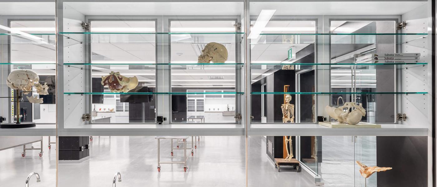 Dr. George Yee Laboratory of Anatomical Sciences | Max Rady College of ...