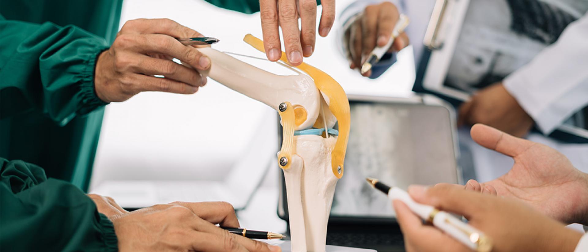 Adult Hip and Knee Reconstruction Fellowship (Arthroplasty) | Max Rady ...