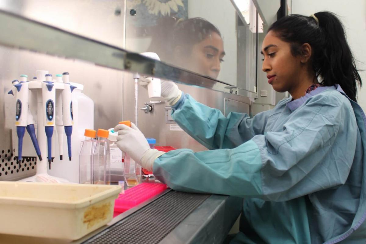 Department of Medical Microbiology and Infectious Diseases | Max Rady ...