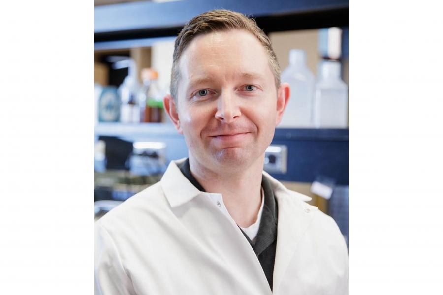 profile - Joel Pearson | Max Rady College of Medicine | University of ...