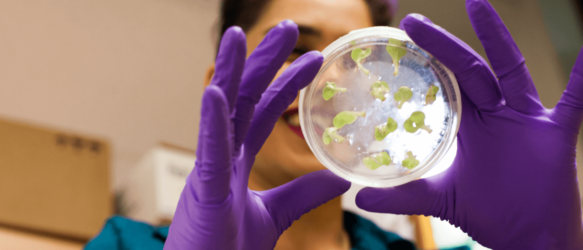 Biological Sciences | Faculty of Science | University of Manitoba