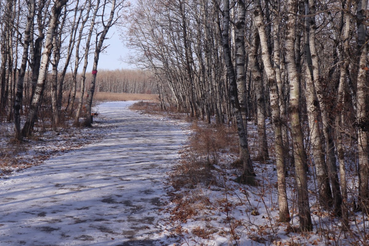 Land and Water: Indigenous Land-Based Education Program | University of ...