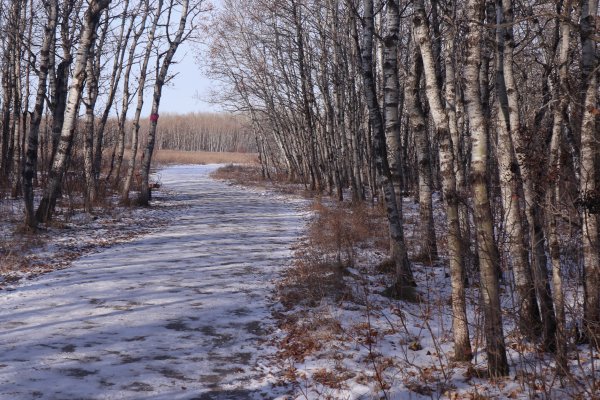 Land and Water: Indigenous Land-Based Education Program | University of ...