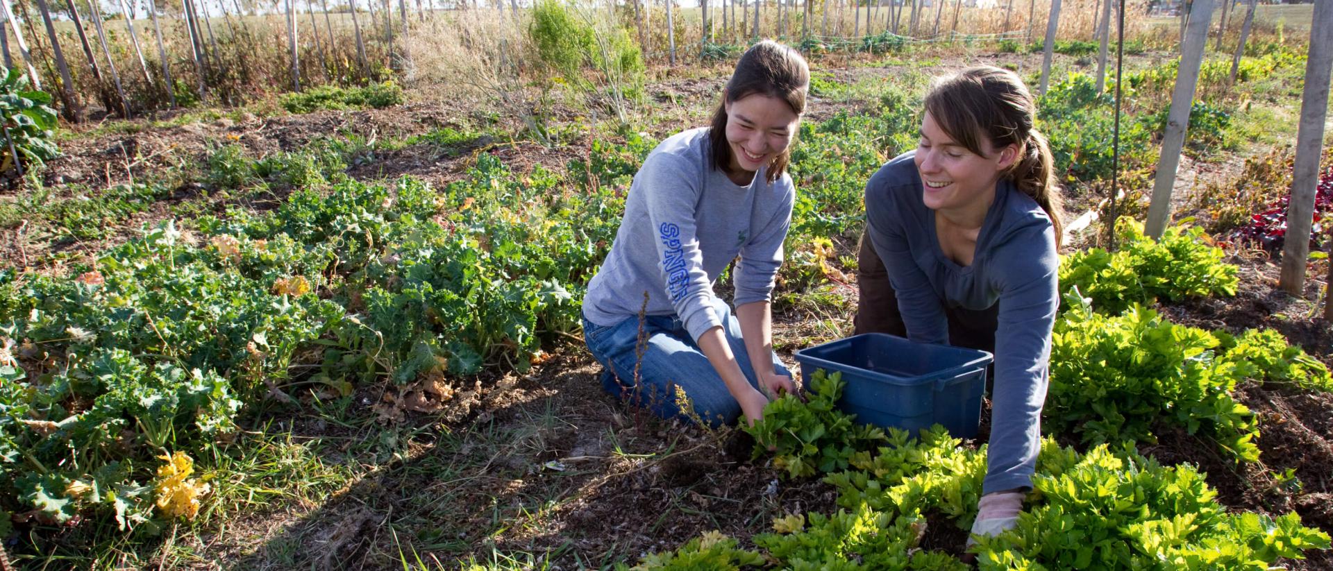 Land and food | Sustainability | University of Manitoba